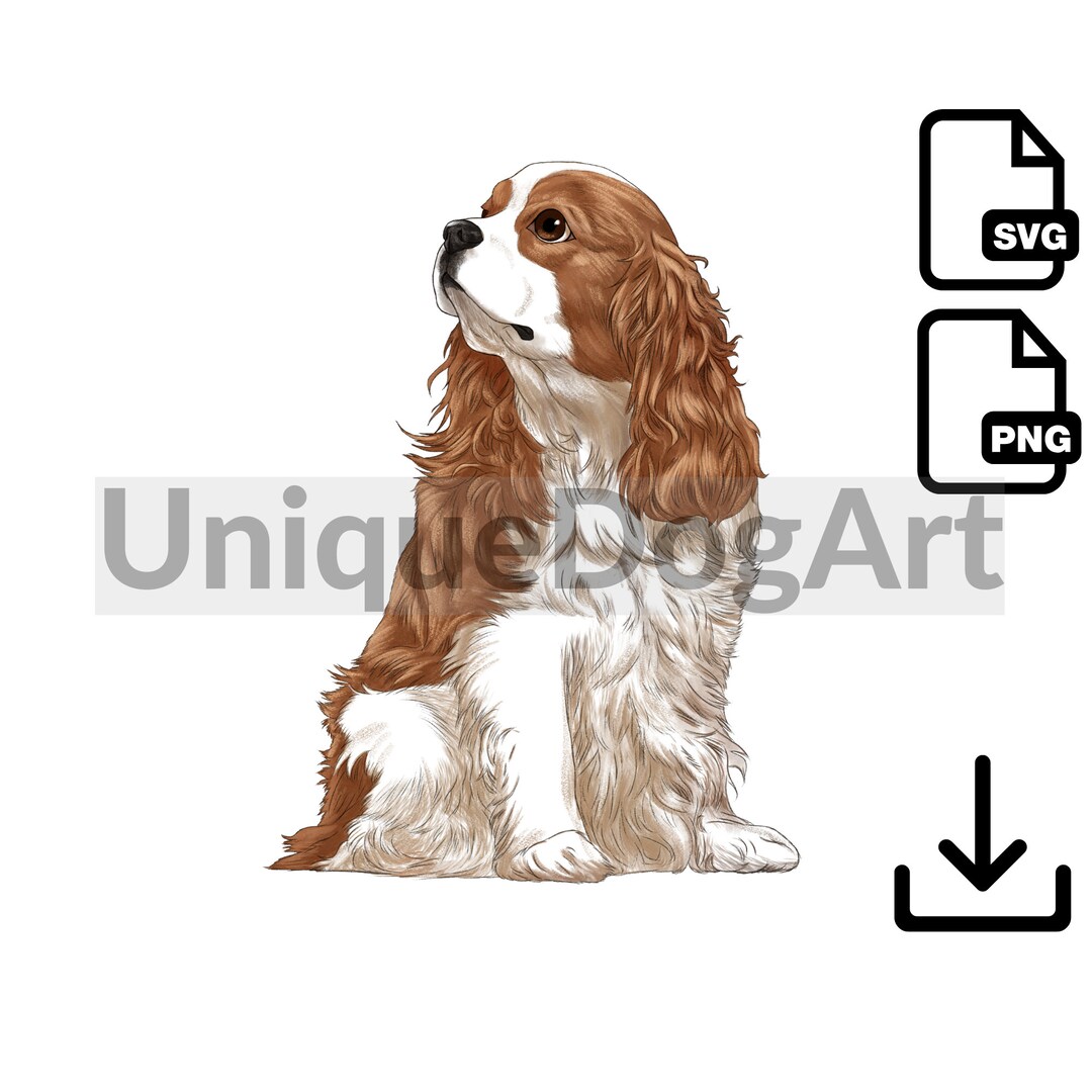 Cavalier King Charles Spaniel PNG Clipart Printable Sitting King ...