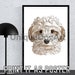 Unique Watercolor Cavapoo PNG Clipart Sublimation Design Graphic ...