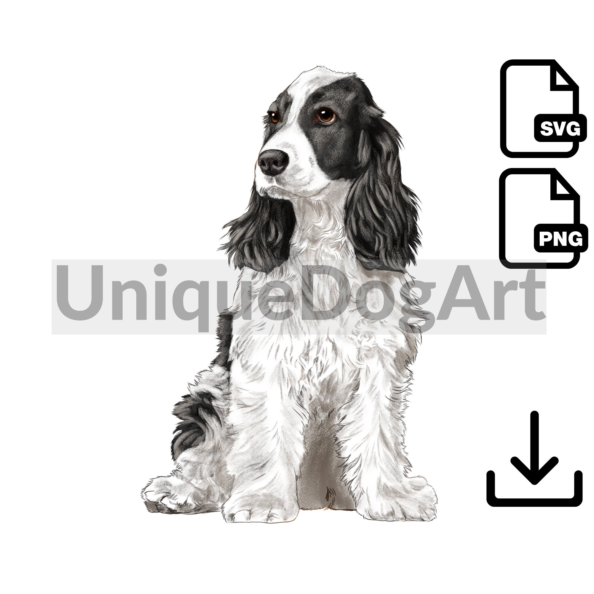 English Cocker Spaniel PNG Clipart Sublimation Design Graphic Printable ...