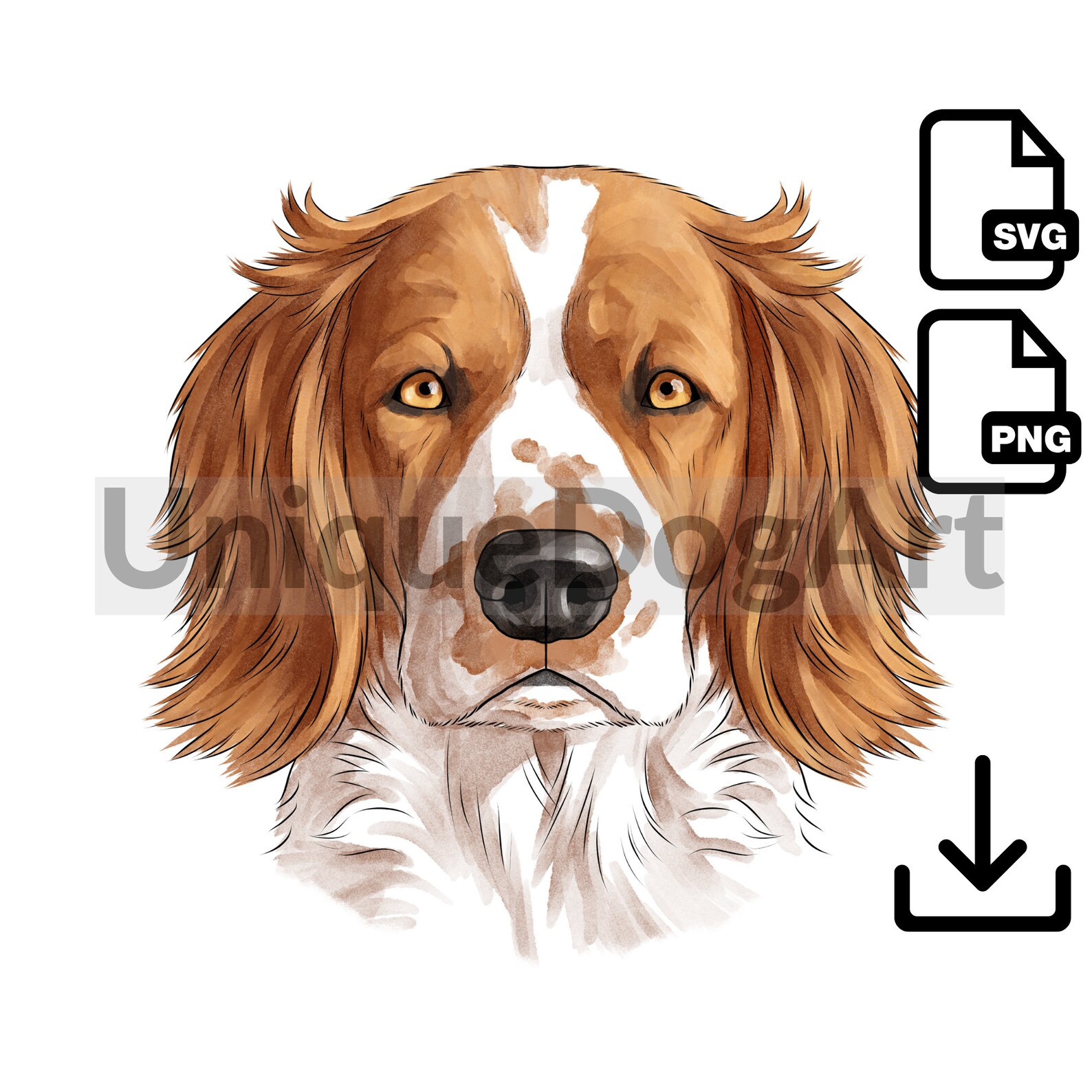 Unique Watercolor Welsh Springer Spaniel PNG Clipart Sublimation Design ...