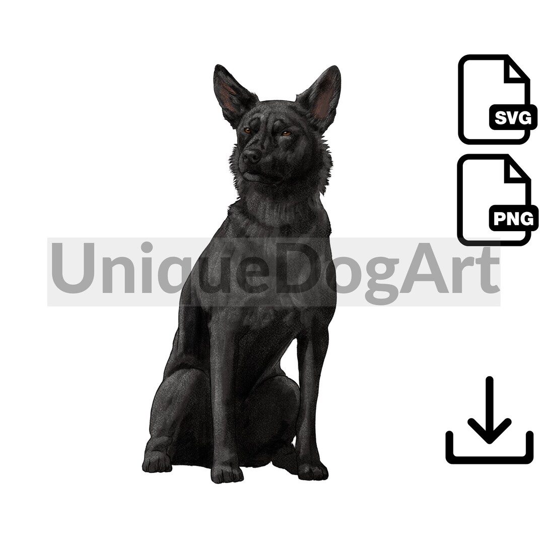Unique Sitting Black Australian Kelpie PNG Clipart Sublimation Design ...