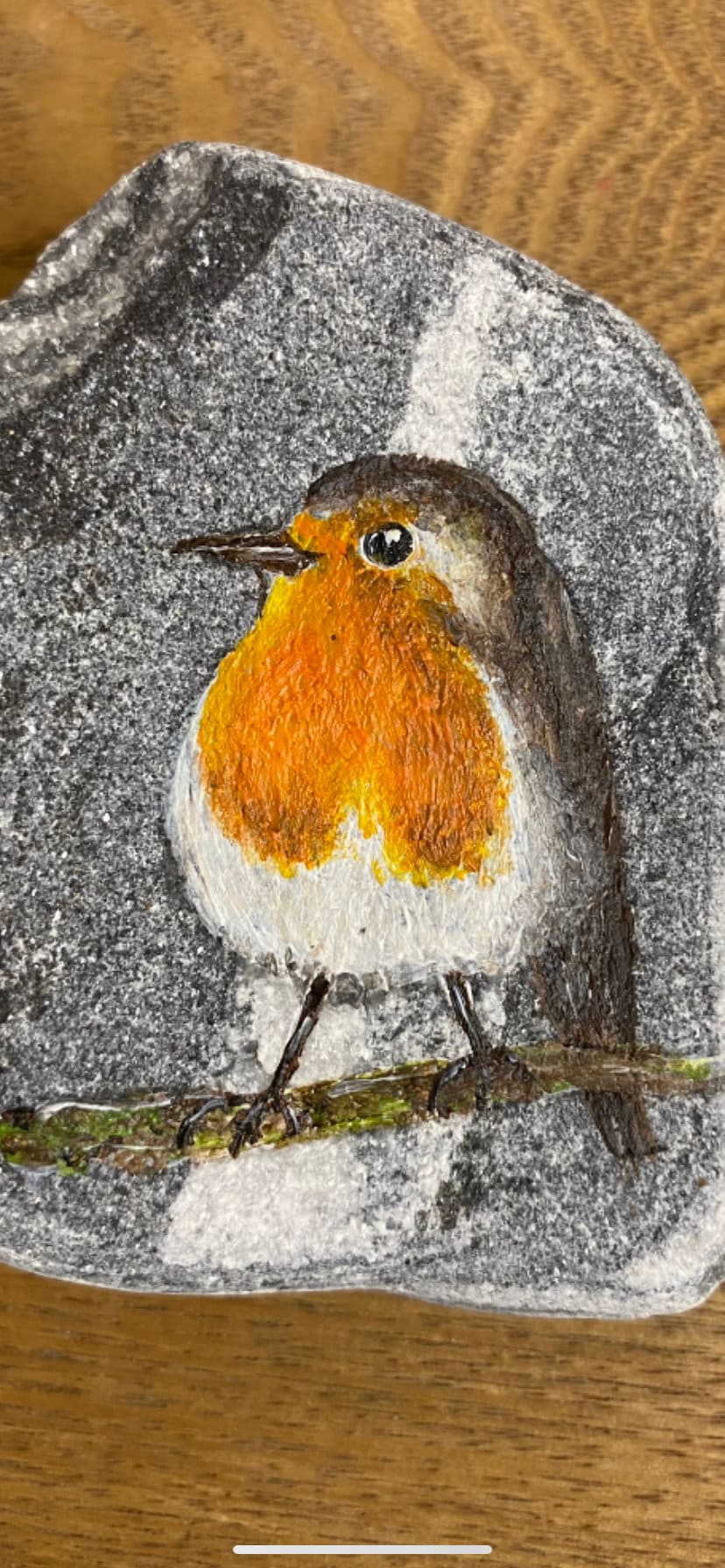 Robin Hand Painted Rock - Etsy