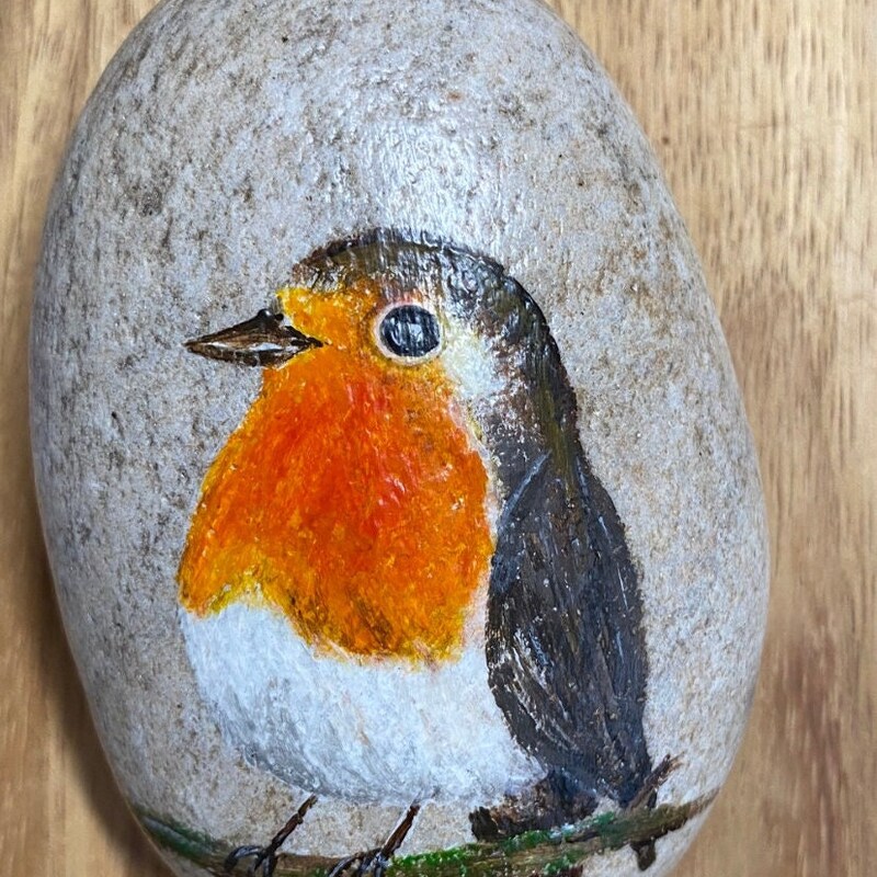 Unique Painted Rock - Etsy