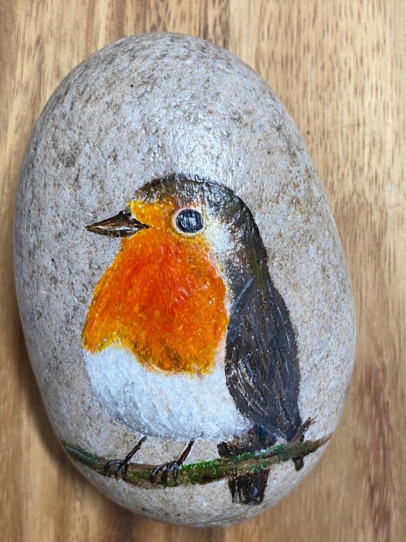 Robin Hand Painted Rock - Etsy