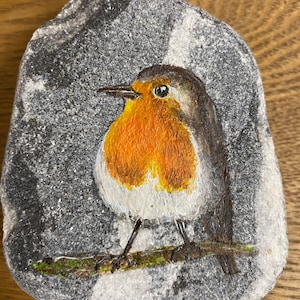 Robin Hand Painted Rock - Etsy