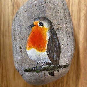 Robin Hand Painted Rock - Etsy