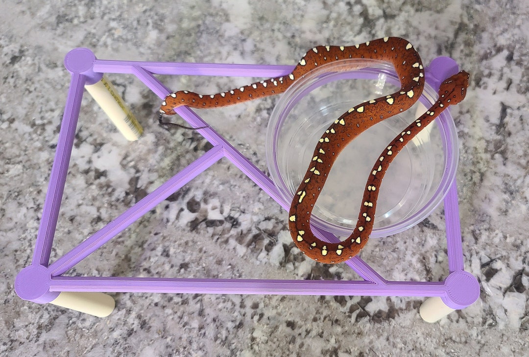 Snake/reptile 10x6in Perch W/water Bowl Holder - Etsy