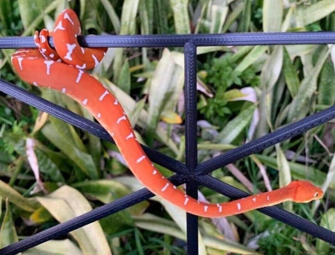 Arboreal Snake/reptile 10x6in Perch - Etsy