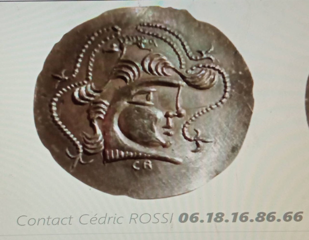 Reproductions of Ancient Coins: BAIOCASSES STATER, BOAR, Denarii Coin ...