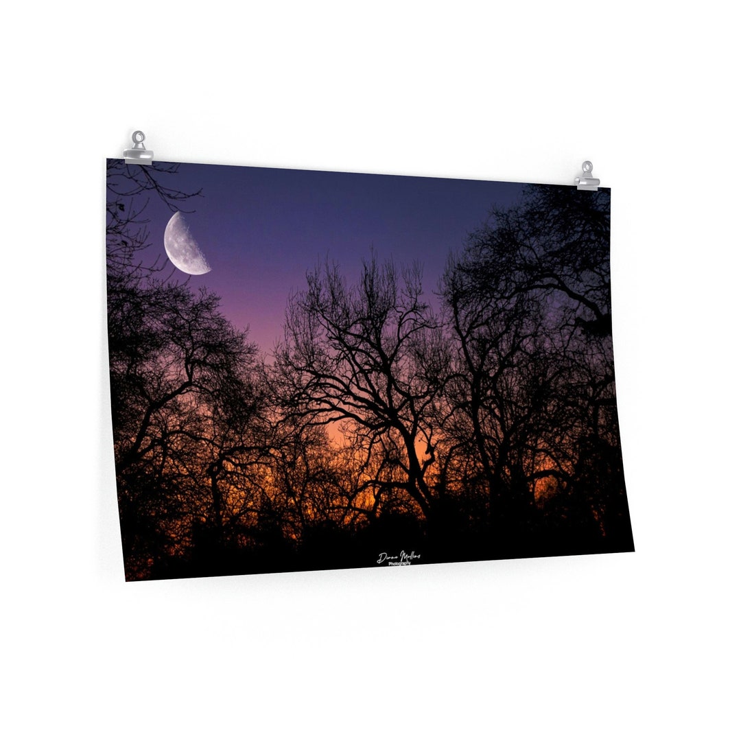 The Golden Hour by Diane Mullins, Premium Matte Horizontal Posters BX ...
