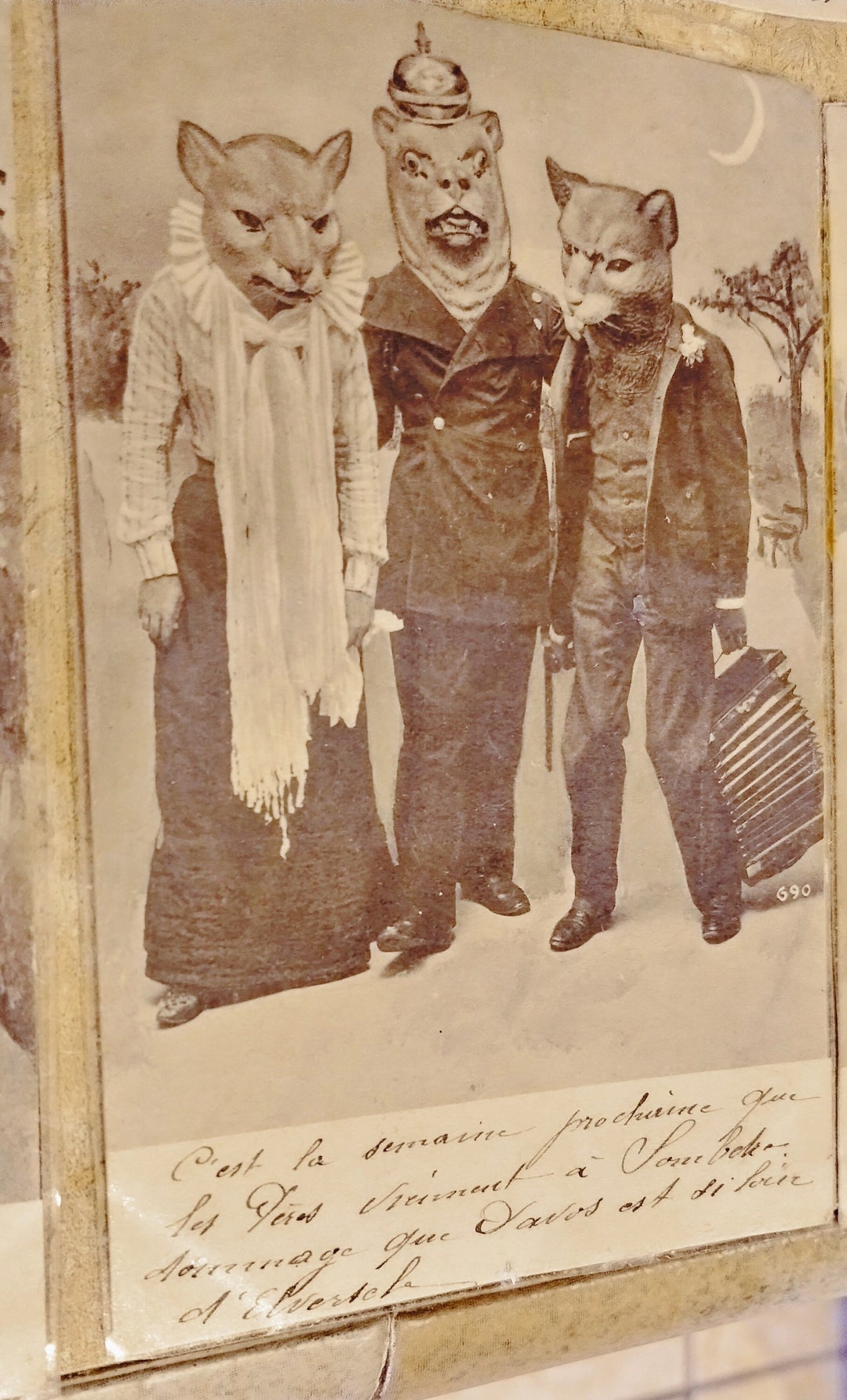 Rare Postkarte , Anthropomorphic Cat Postcards 1900's Theatrical Scenes ...