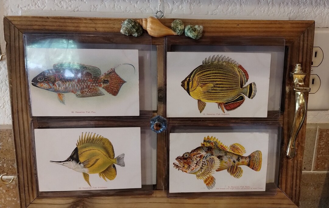 Vintage Island Curio Co. Jas Steiner Postcards FISH in Wood - Etsy