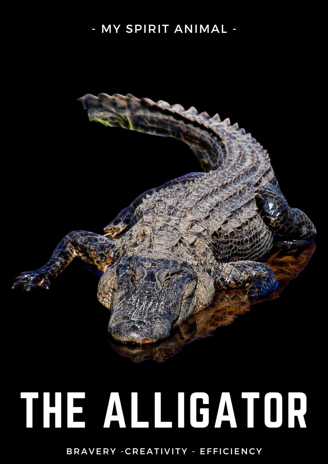 Spirit Animal Art the Alligator Digital Printable Poster Wall Art Black ...