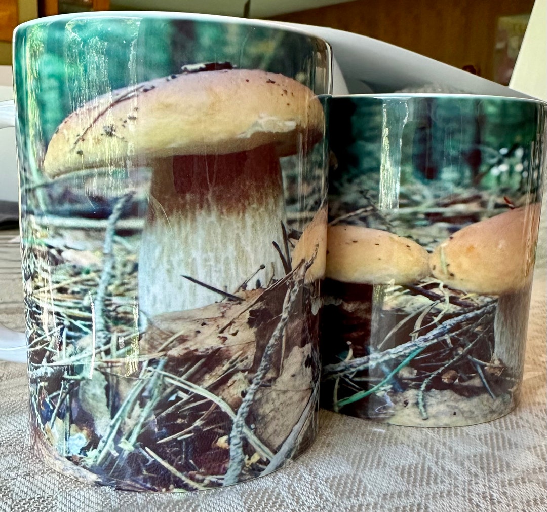 Lithuanian (baravykai) Mushroom Ceramic Mug - Etsy