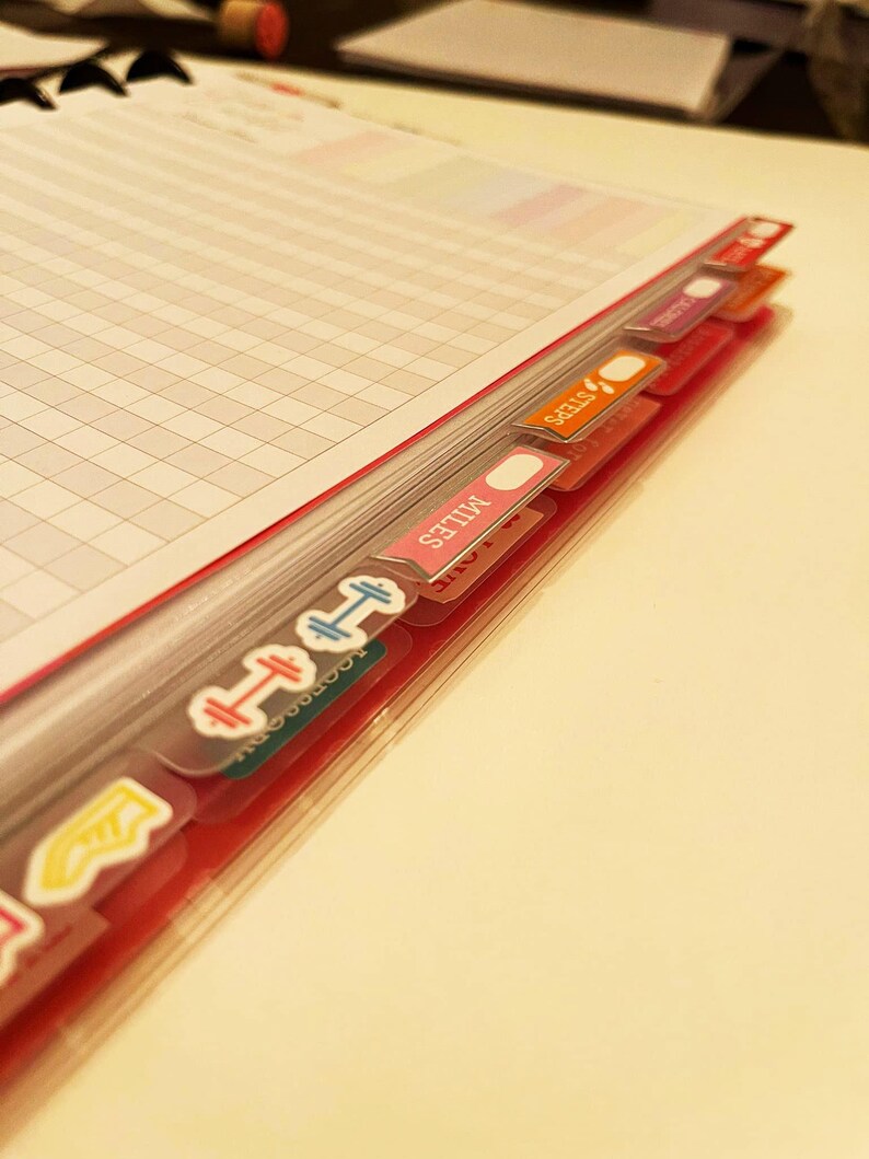 6 Clear Blank Binder Dividers for 9-discs Classic Size (7'' X 9.25 ...