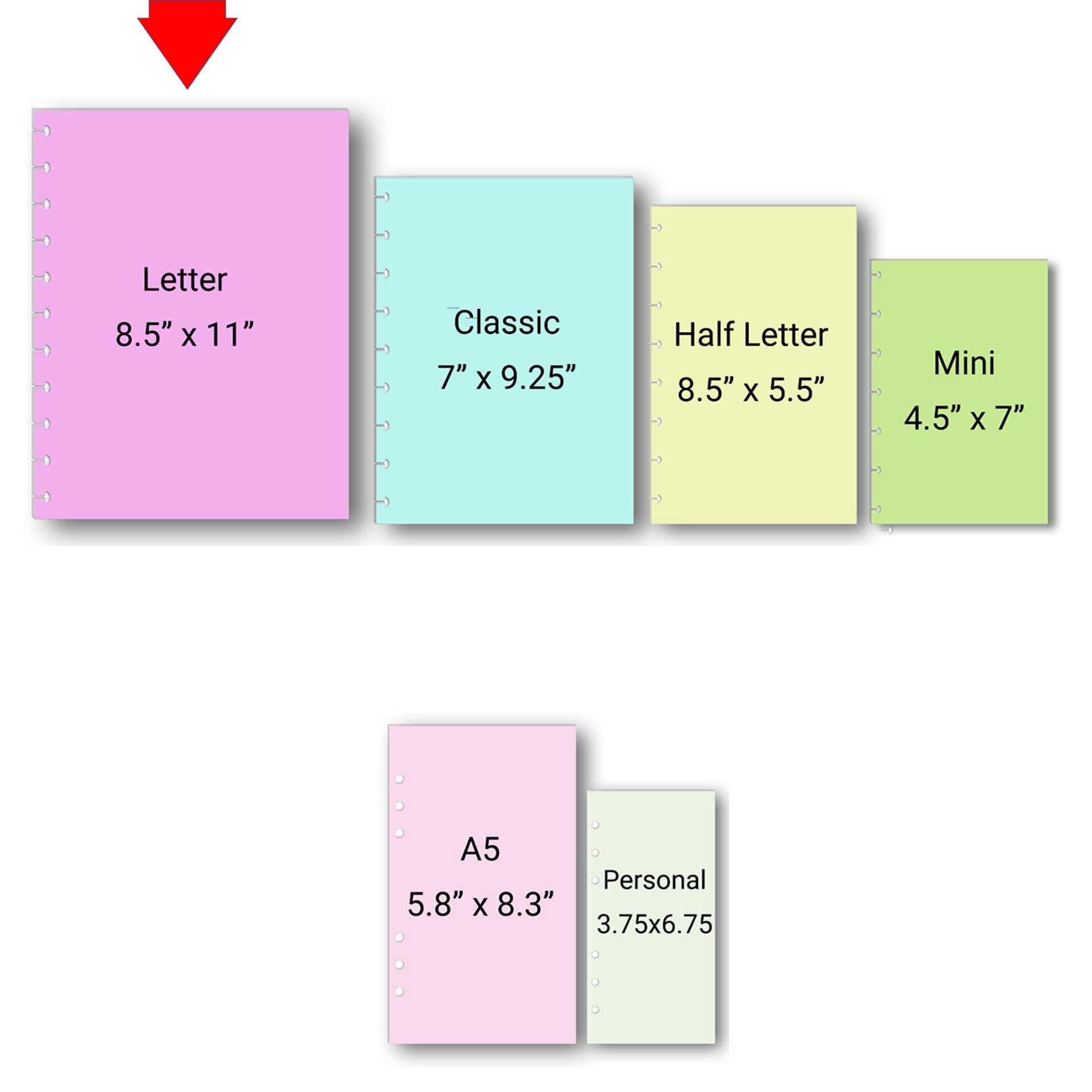 Hourly Planner for 11-disc Letter Size Big Planners, Pre-punched ...