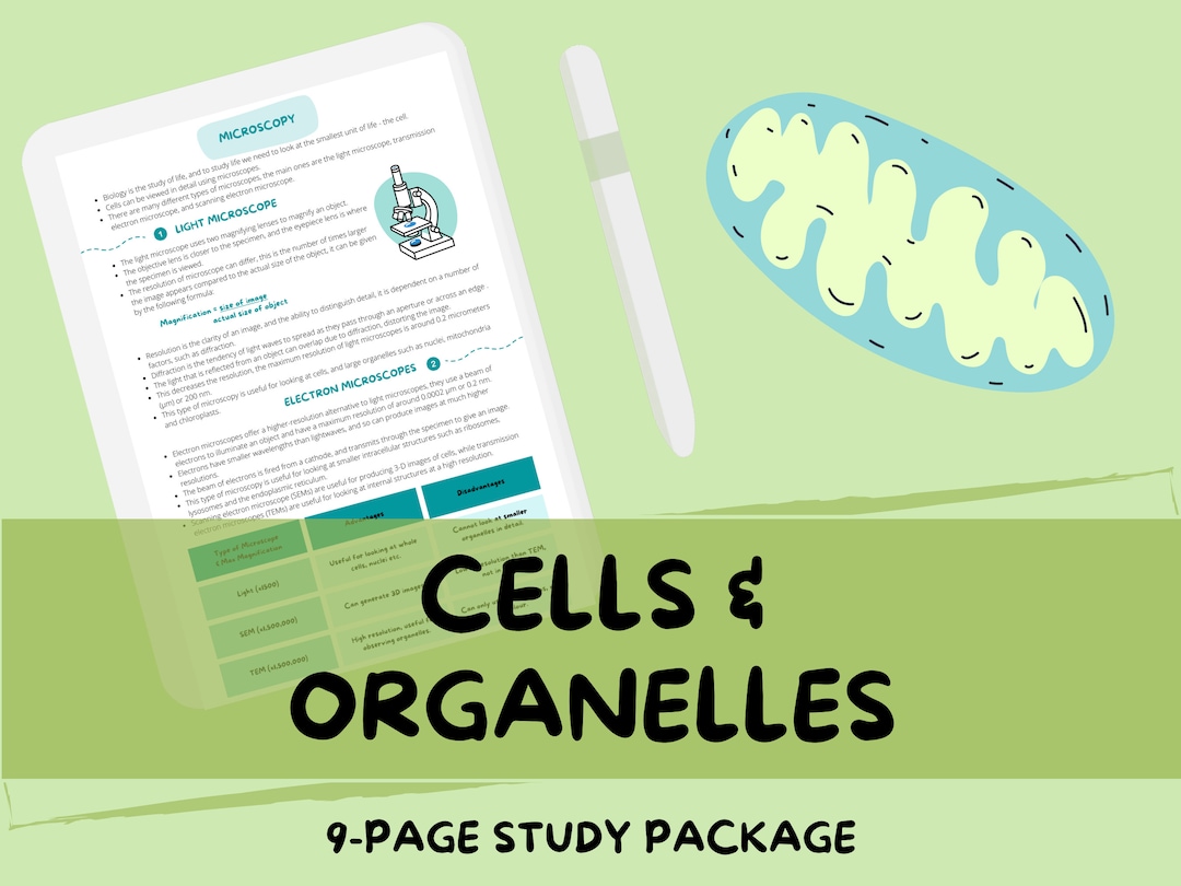 Cells and Organelles - A-level Biology Study Notes Guide - Etsy