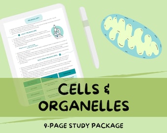 Proteins and Enzymes - A-level Biology Study Notes Guide - Etsy