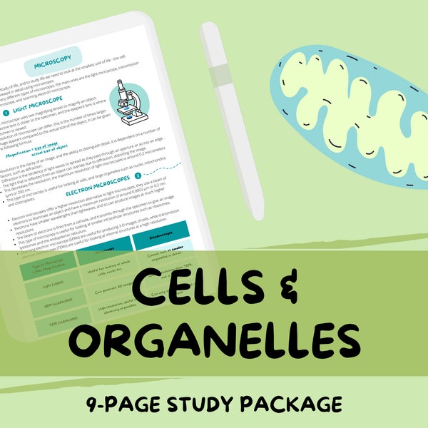 Cells and Organelles a Level Biology Study Notes Guide - Etsy Canada