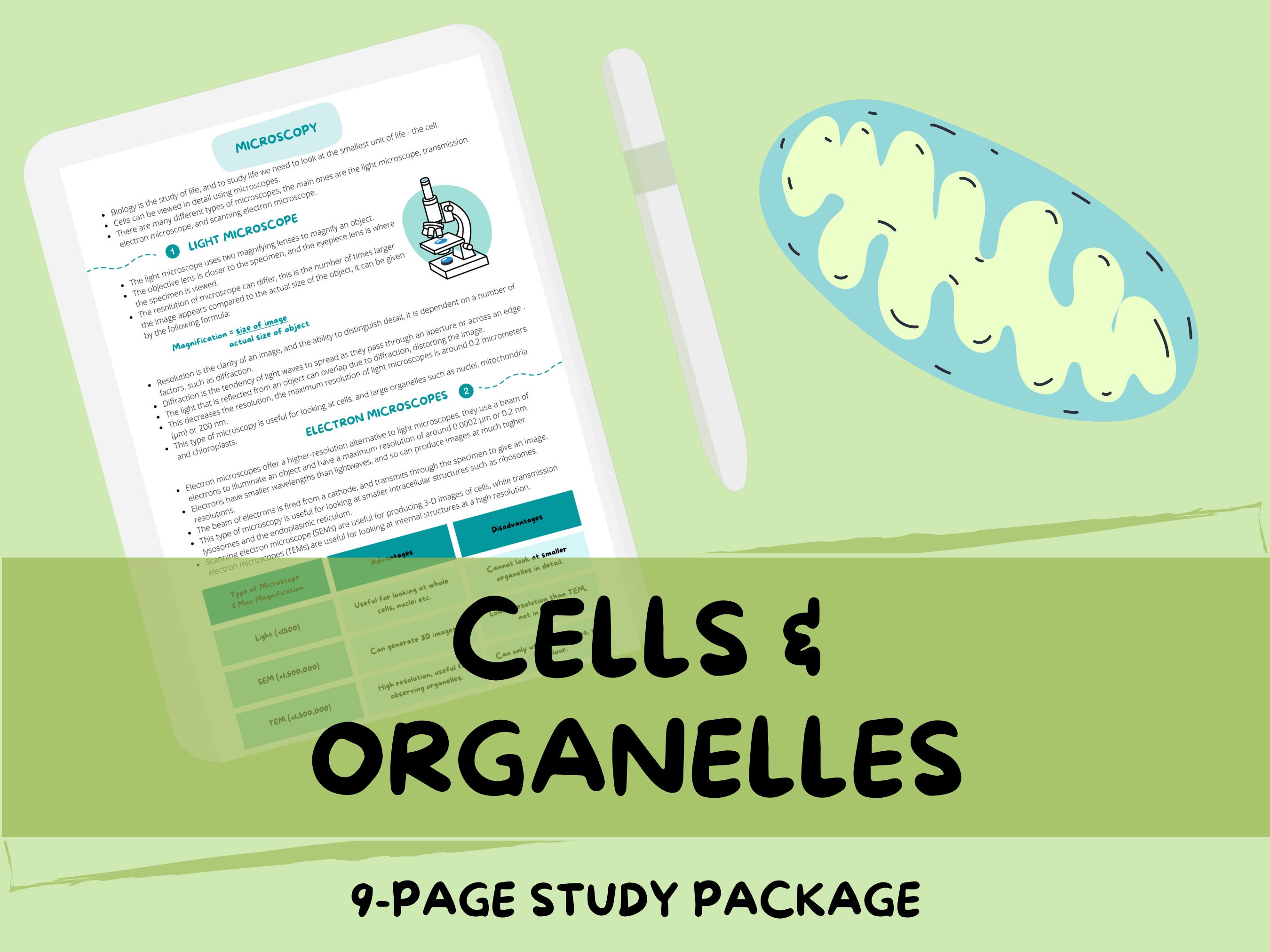 Cells and Organelles - A-level Biology Study Notes Guide - Etsy