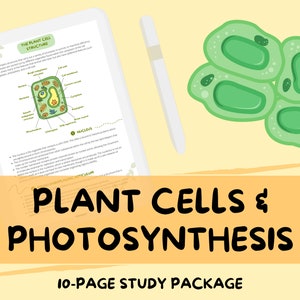 Plant Cells and Photosynthesis - A-level Biology Study Notes Guide - Etsy