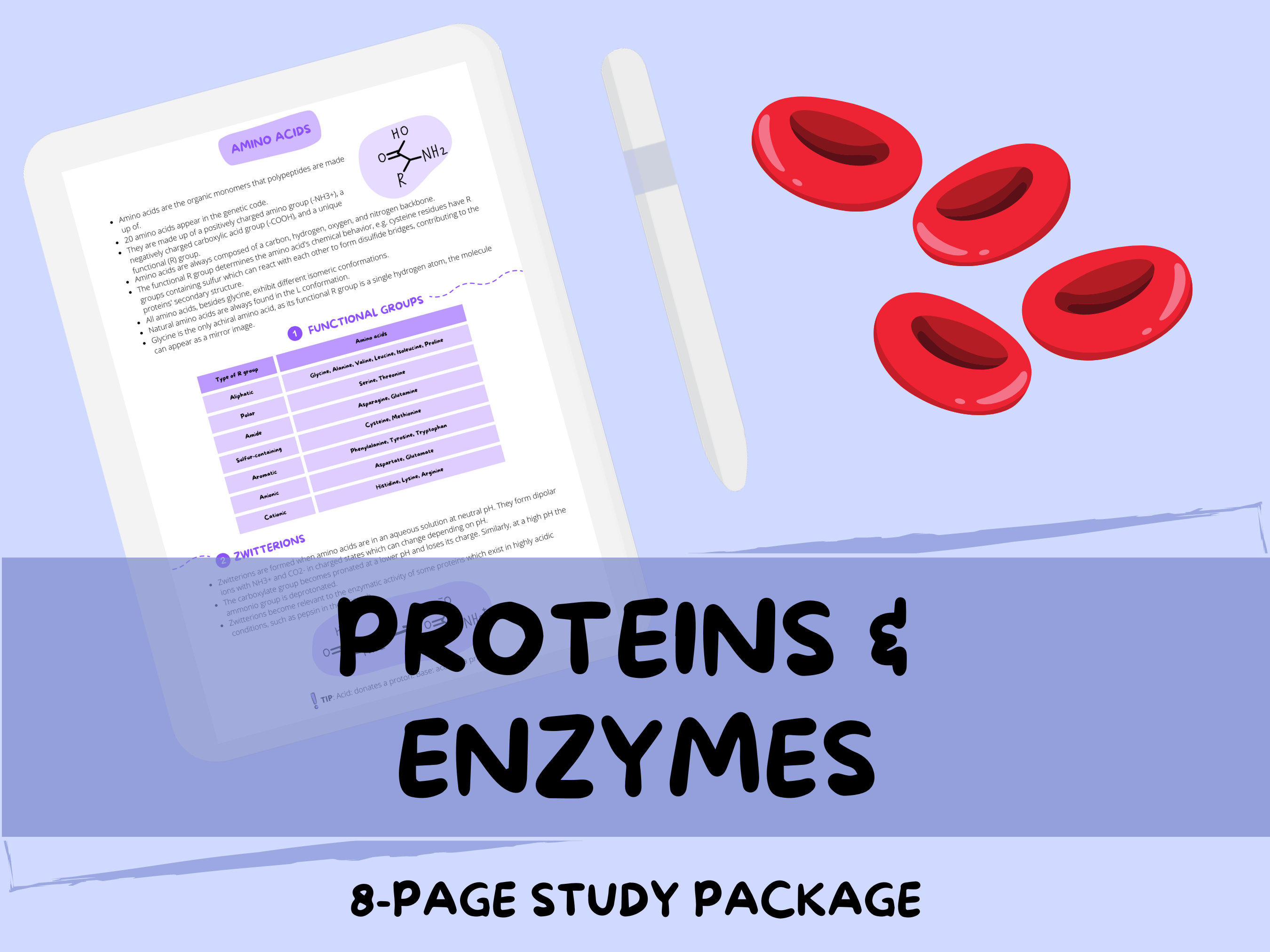 Proteins and Enzymes - A-level Biology Study Notes Guide - Etsy