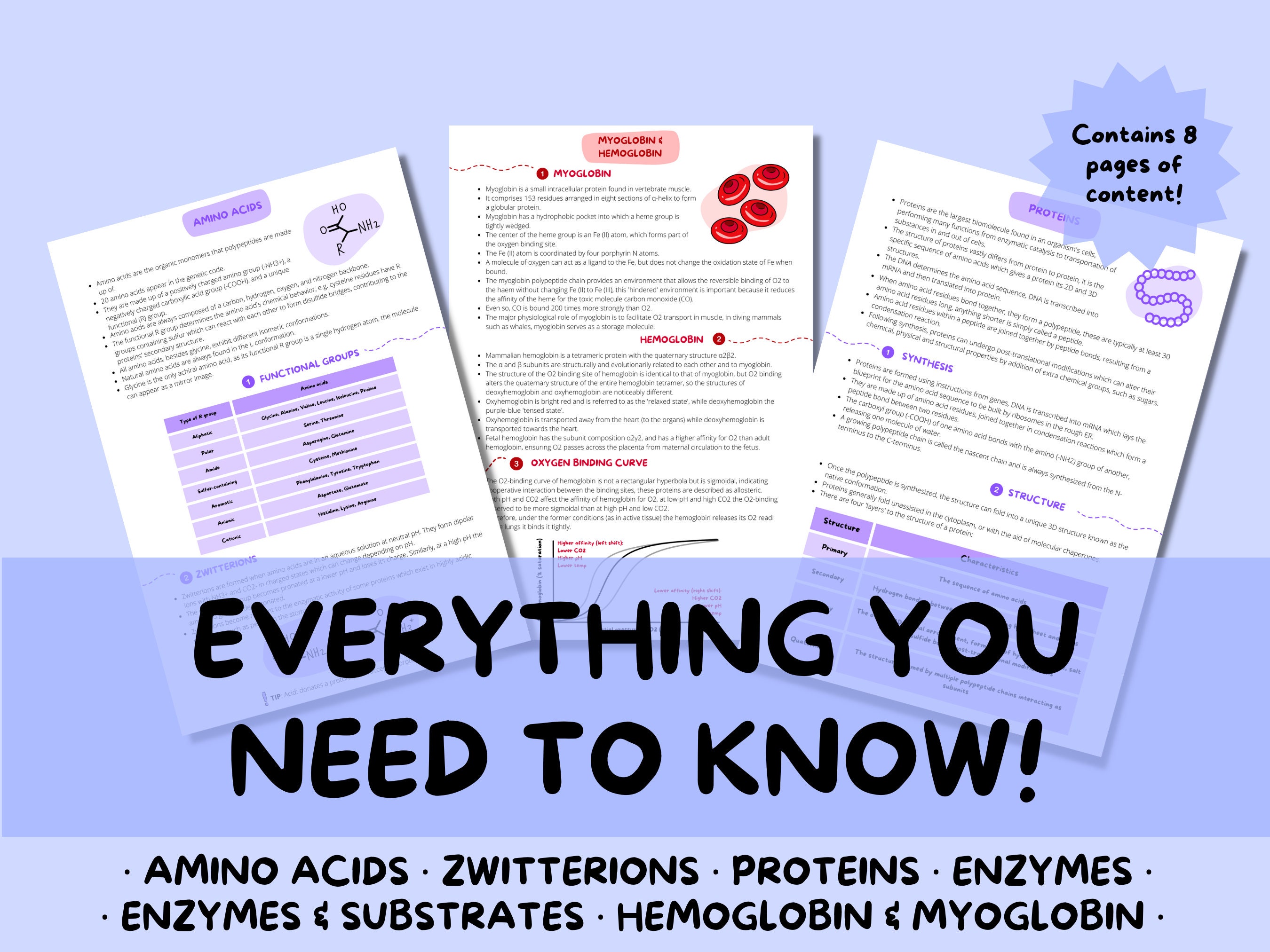 Proteins and Enzymes - A-level Biology Study Notes Guide - Etsy