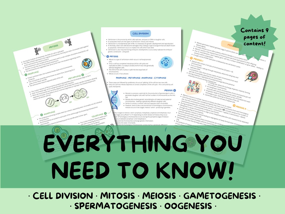Cell Division, Mitosis and Meiosis, Gametogenesis - A-level Biology ...