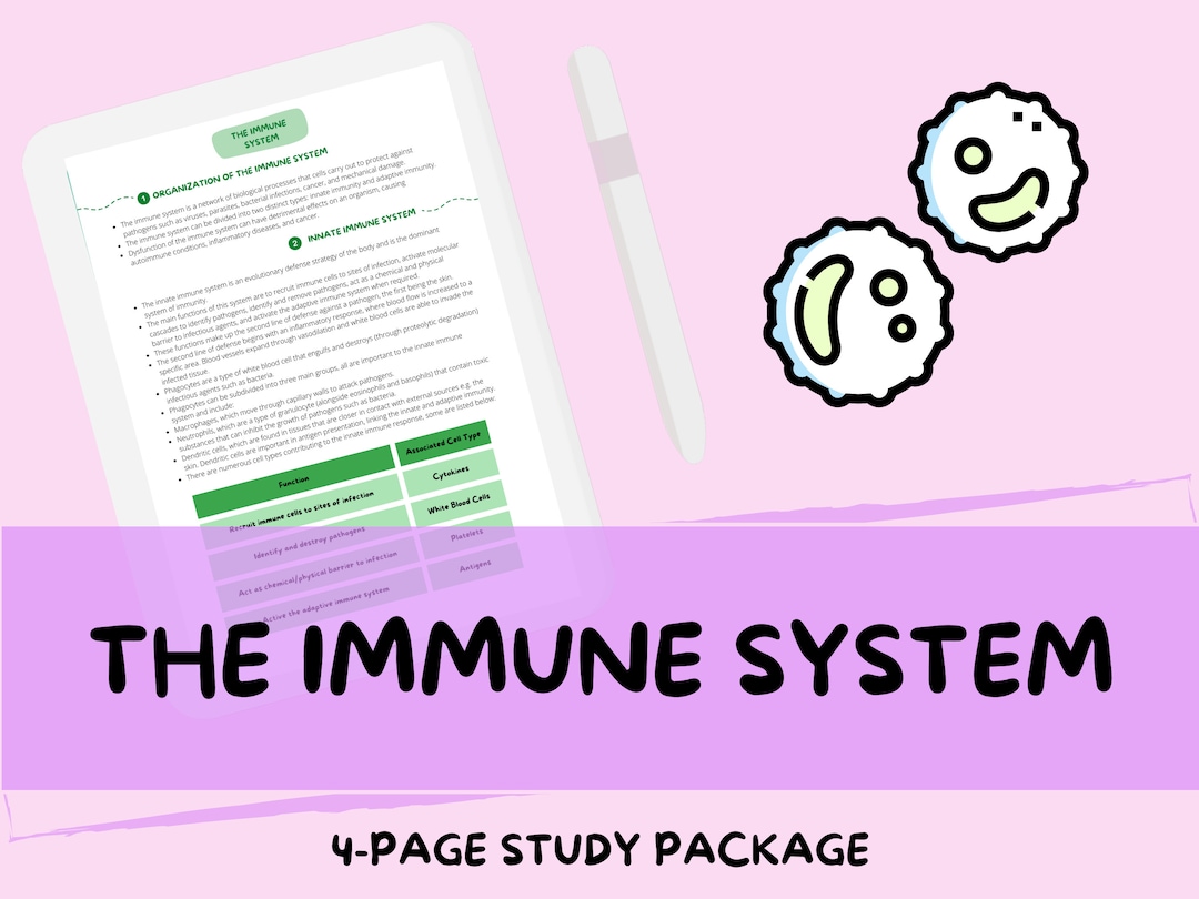 The Immune System - A-level Biology Study Notes Guide - Etsy