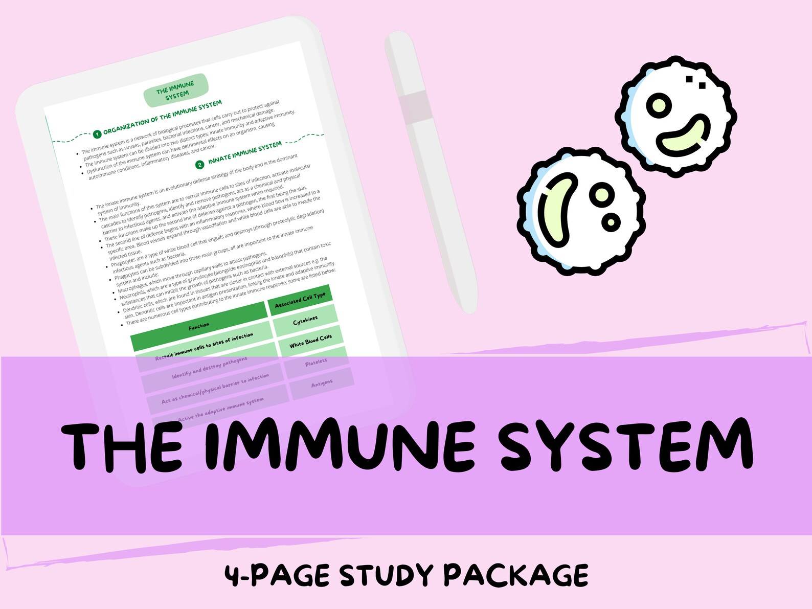 The Immune System - A-level Biology Study Notes Guide - Etsy
