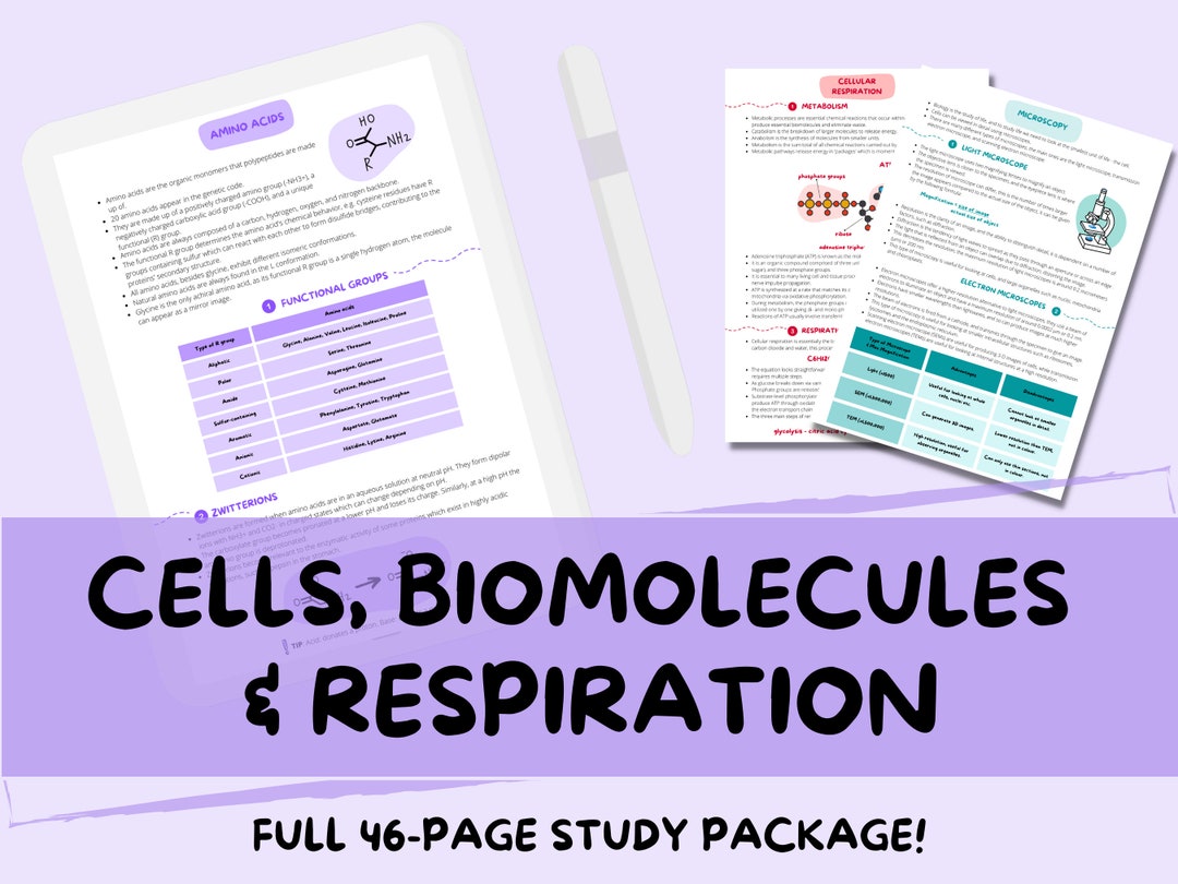 Cells, Biomolecules and Respiration - *46 PAGES!* - A-level Biology ...