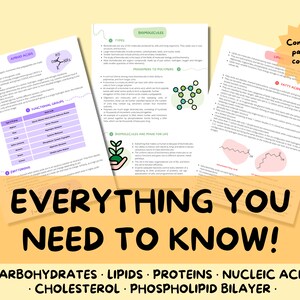 Cell Membrane and Biomolecules - Biology Study Guide - Etsy