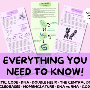 DNA Structure - A-level Biology Study Notes Guide - Etsy