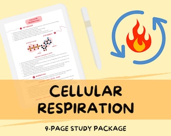 DNA Structure - A-level Biology Study Notes Guide - Etsy
