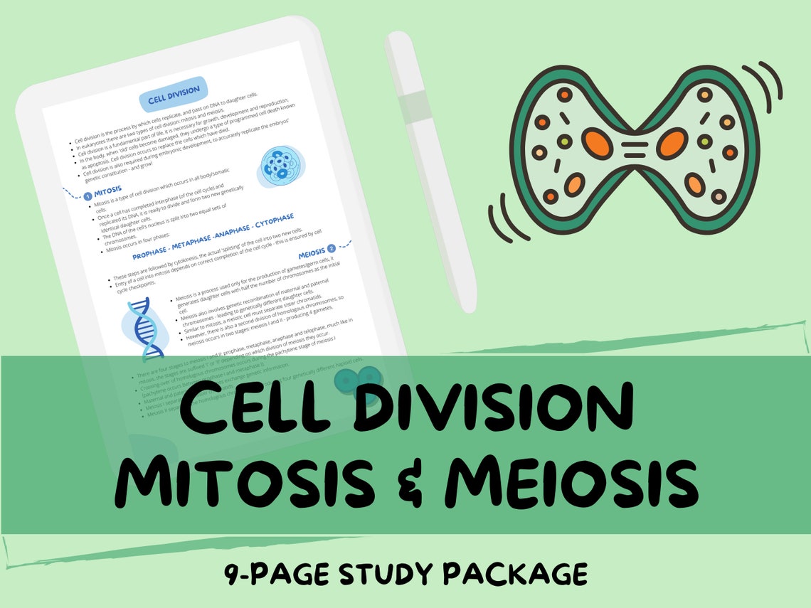 Cell Division, Mitosis and Meiosis, Gametogenesis A-level Biology Study ...