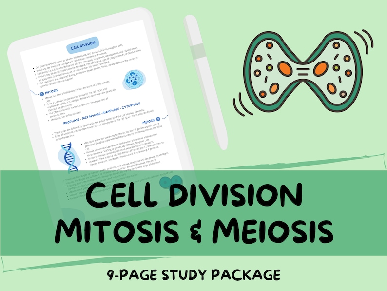 Cell Division, Mitosis and Meiosis, Gametogenesis - A-level Biology ...