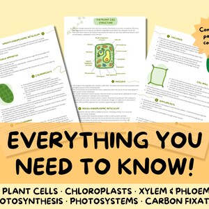 Plant Cells and Photosynthesis - A-level Biology Study Notes Guide - Etsy