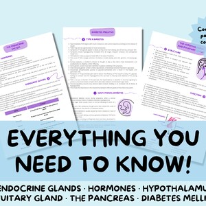 The Endocrine System - A-level Biology Study Notes Guide - Etsy