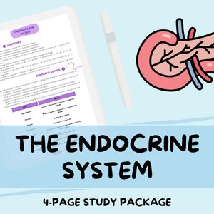 The Endocrine System - A-level Biology Study Notes Guide - Etsy