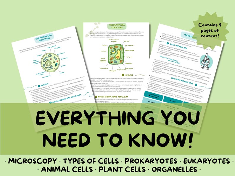 Cells and Organelles - A-level Biology Study Notes Guide - Etsy
