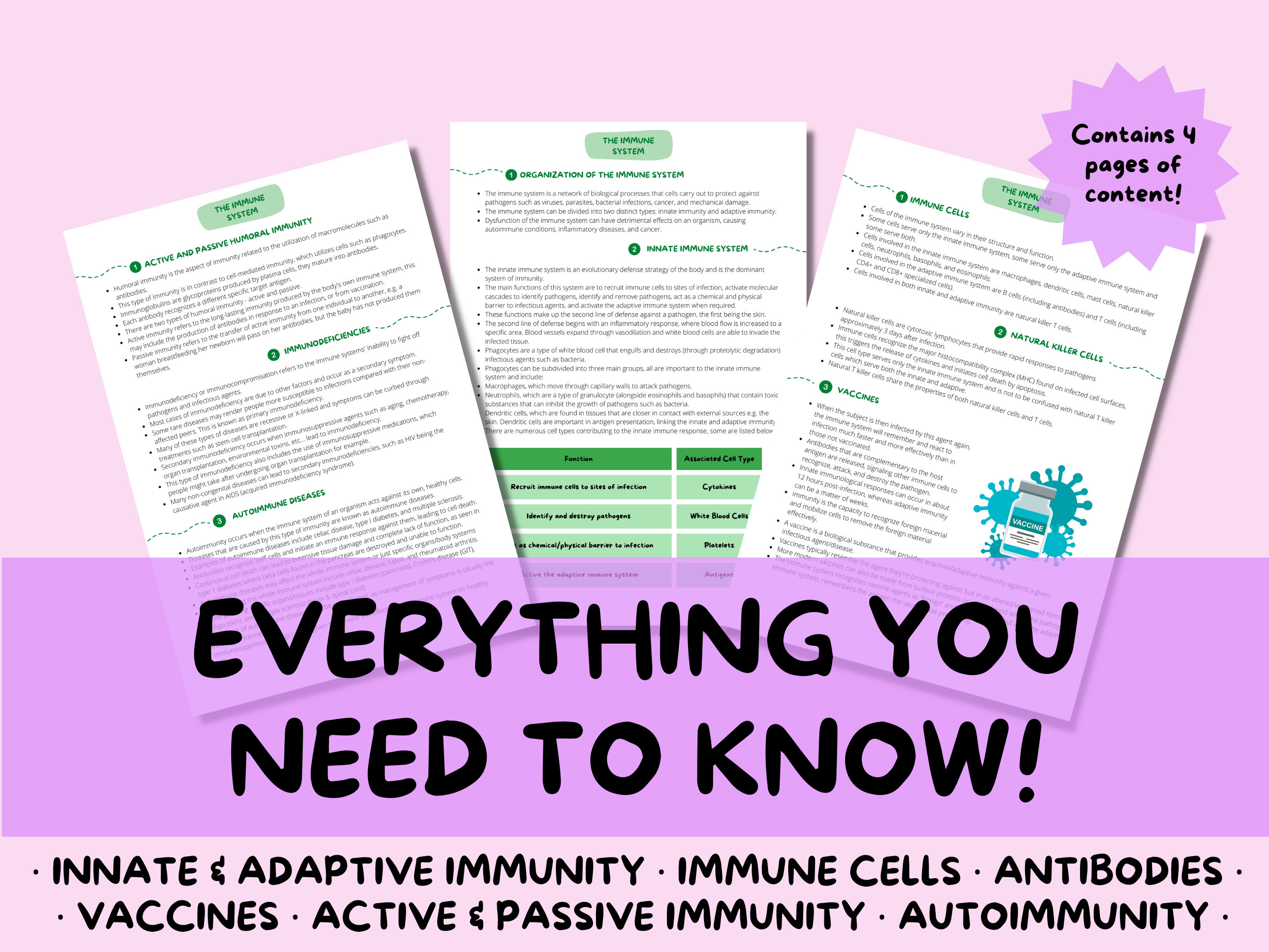The Immune System - A-level Biology Study Notes Guide - Etsy