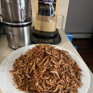 Nigerian Whole Crayfish (3.5oz) - Etsy