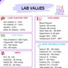 Nursing Lab Values, Lab Value Cheat Sheet, Nursing Cheat Sheet, RN ...
