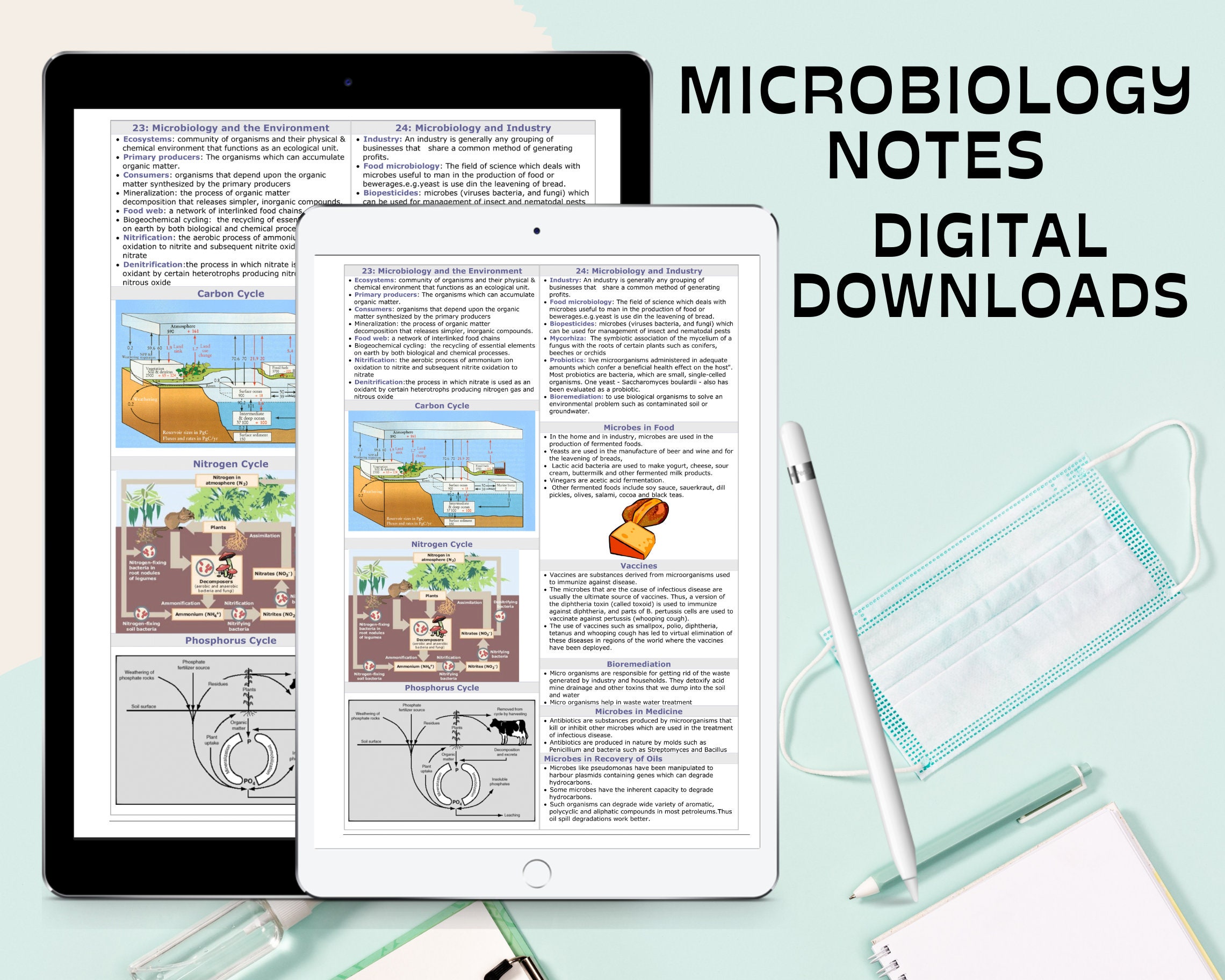 Microbiology Notes: Masterclass Cheat Sheet for Medical Students (PDF ...
