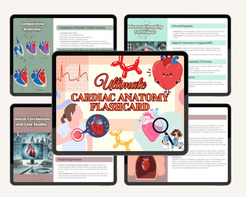 Cardiac Anatomy Flashcards | Cardiovascular System | Heart Anatomy ...