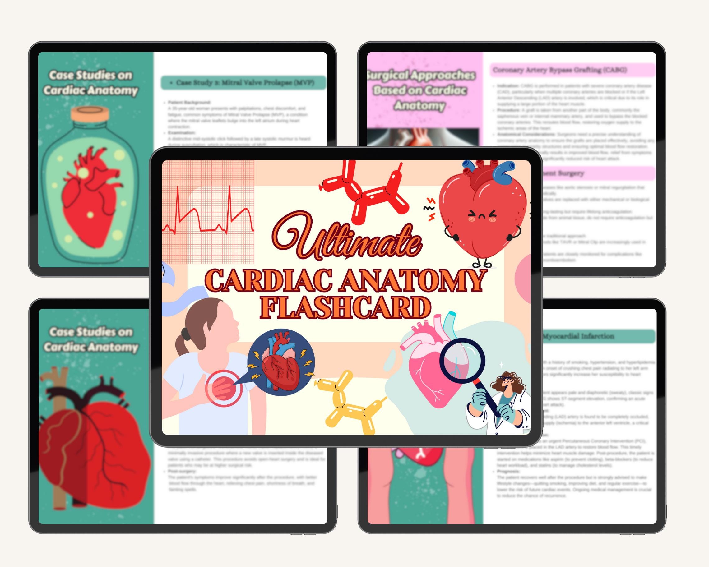 Cardiac Anatomy Flashcards | Cardiovascular System | Heart Anatomy ...