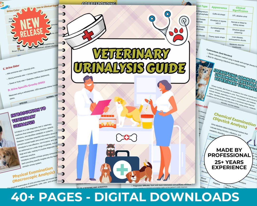 Veterinary Urinalysis Guide: Vet Tech & Student Notes (digital Download ...