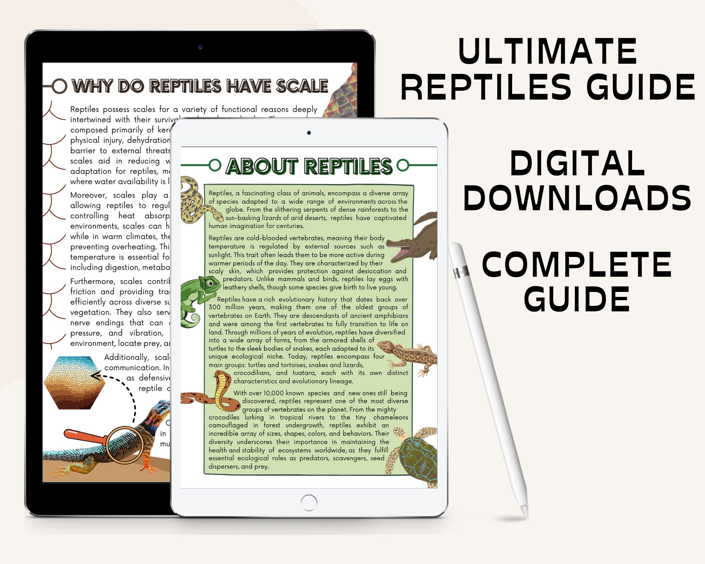 Reptiles Unit Study, Crocodile Unit Study, Turtle Unit Study, Reptiles ...
