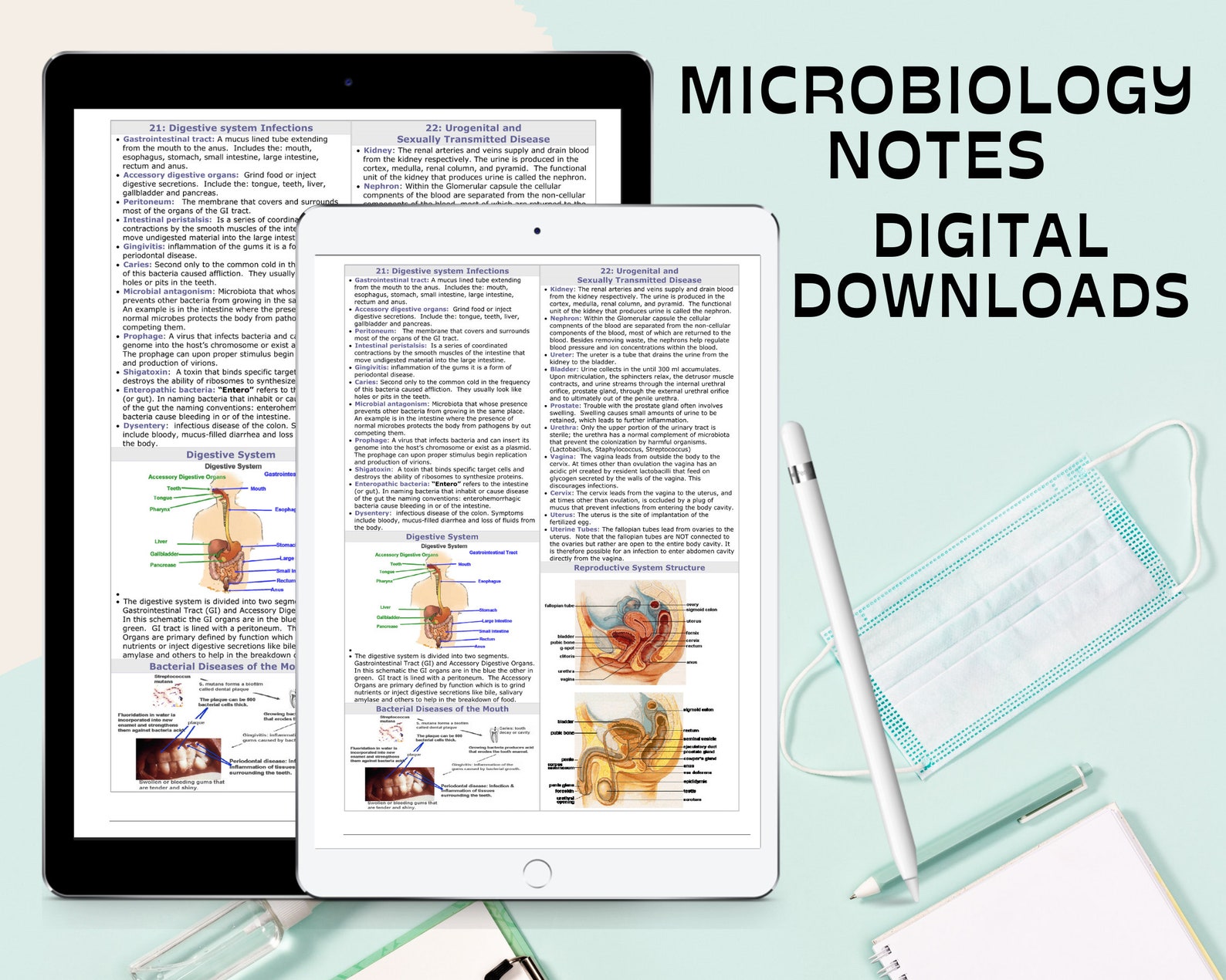 Microbiology Notes: Masterclass Cheat Sheet for Medical Students (PDF ...
