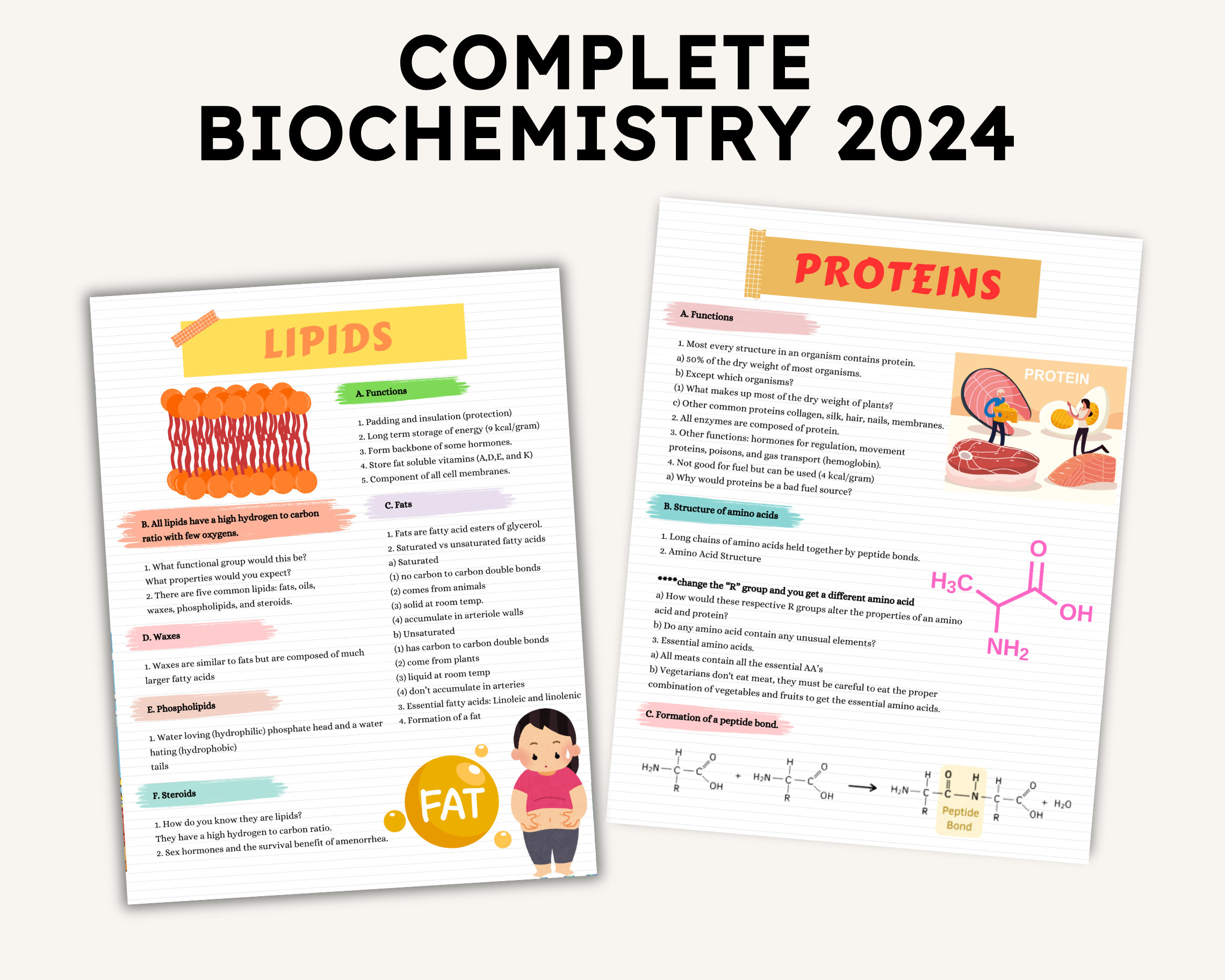 Organic Chemistry, Biochemistry Notes, Mcat Study Notes Perfect for ...